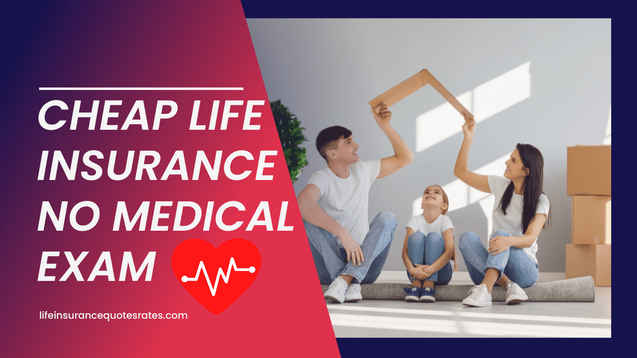 How to Get Cheap Life Insurance Quotes Online in 2023